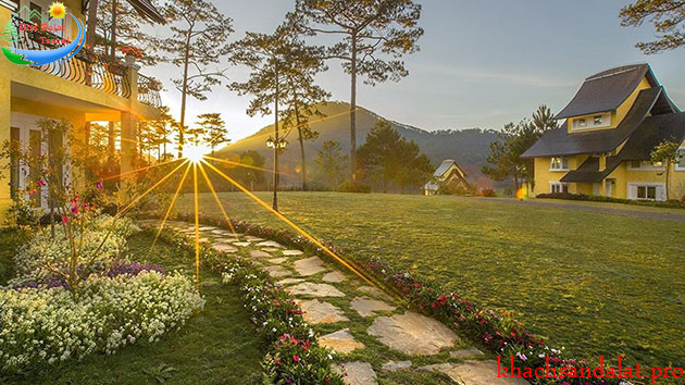 GÓc ĐÀ LẠt YÊu LẮm NhỮng Con NgƯỜi NƠi ĐÂy
